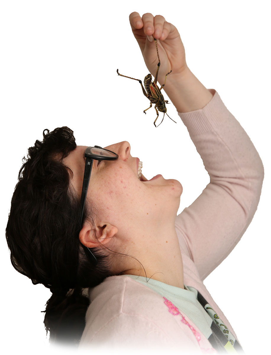 Eating bugs? Truth is, you may already be | The Daily Illini