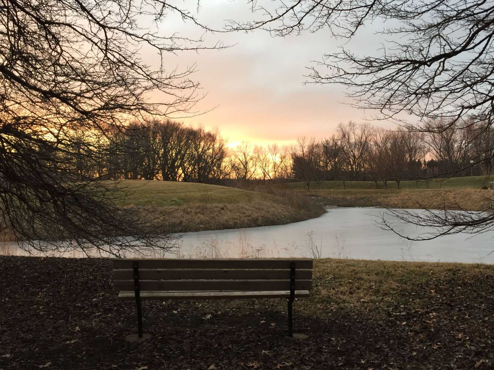 How to spend Valentine’s Day in C-U | The Daily Illini