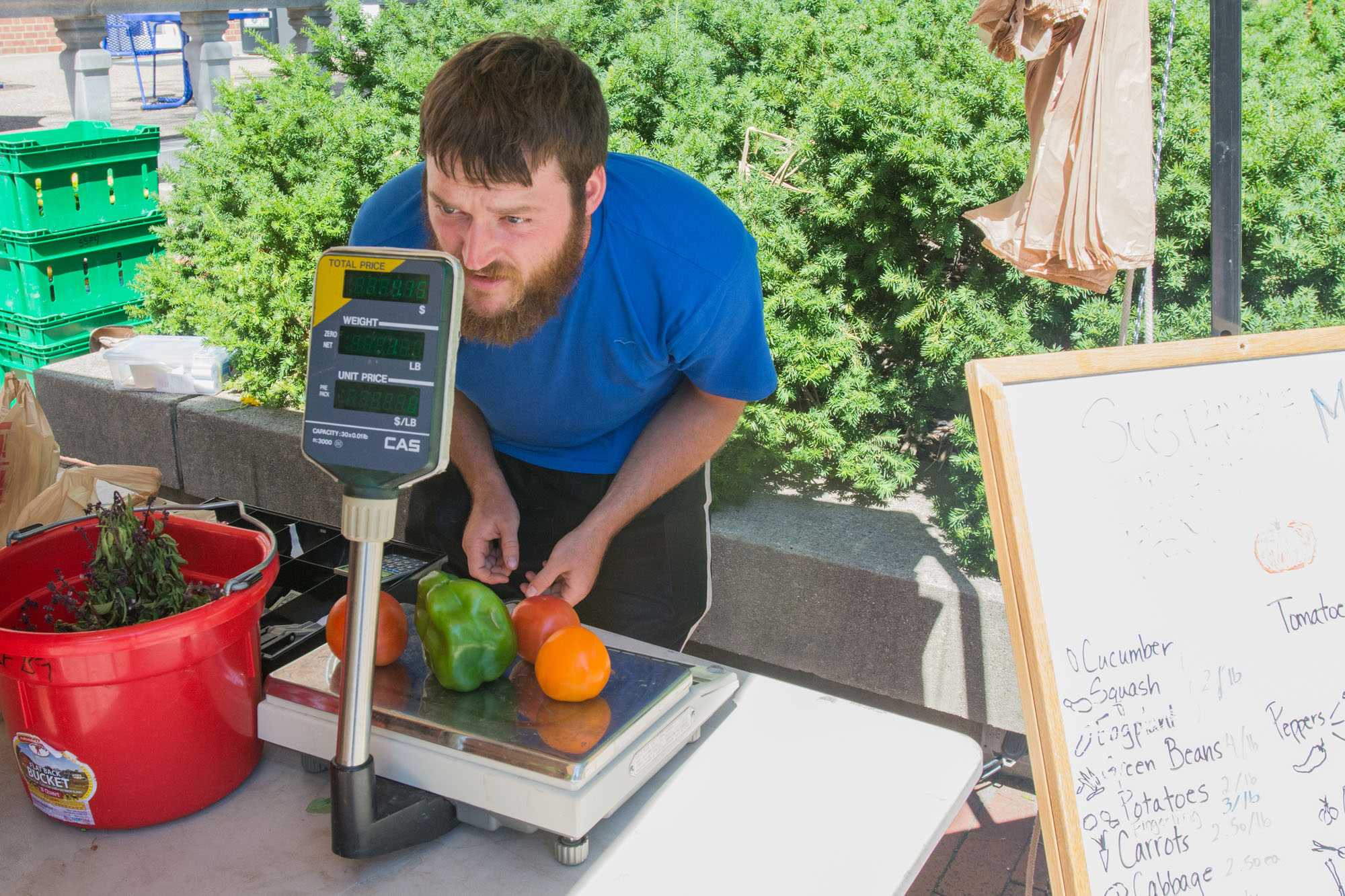Sustainable Student Farm brings fresh produce to the Quad - The Daily ...