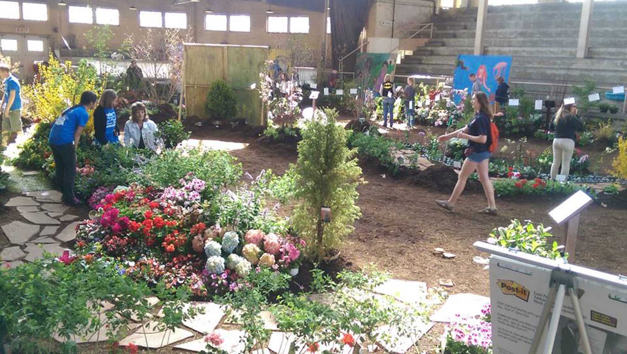 Horticulture Club hosts 61st Mom’s Weekend Flower Show - The Daily Illini