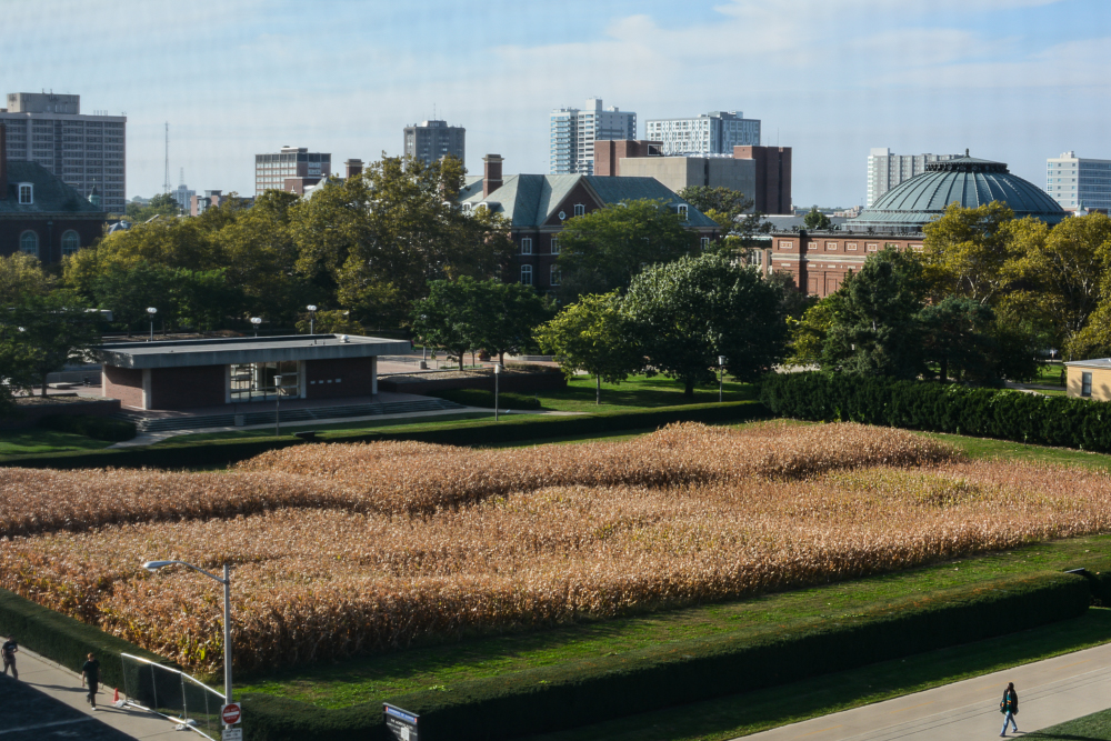 University granted two million dollar grant in corn research - The ...