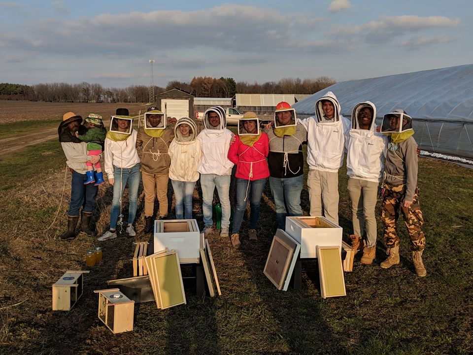 Student forms University's first beekeeping club - The Daily Illini