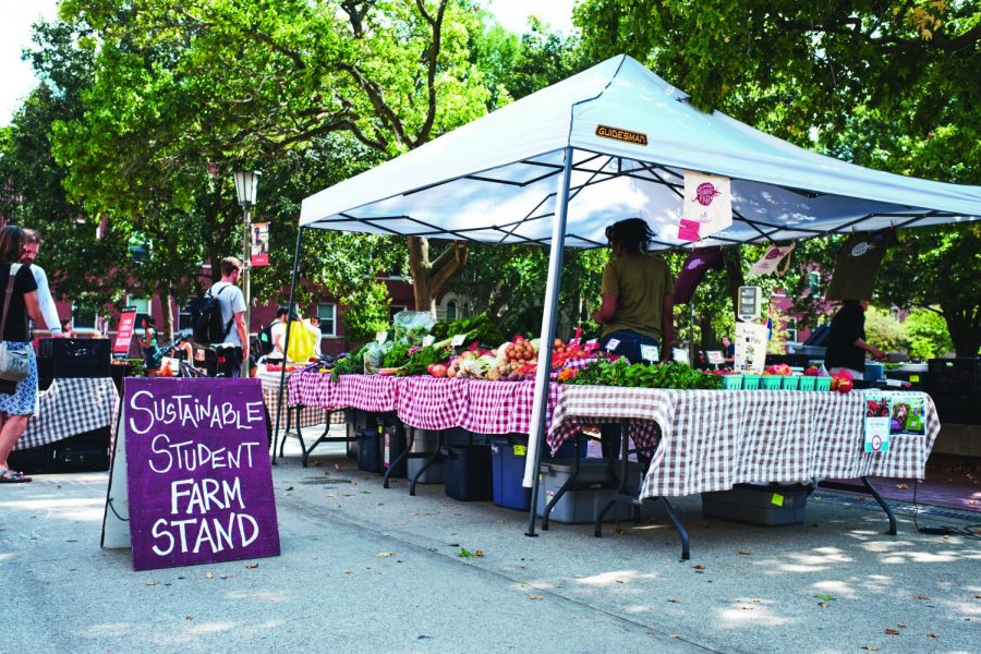 Sustainable Student Farm thrives, profits grow - The Daily Illini