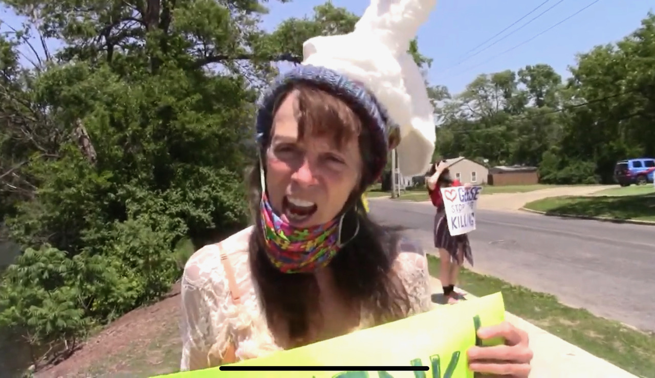 Local geese activists flock together for loud honkin’ protests - The ...