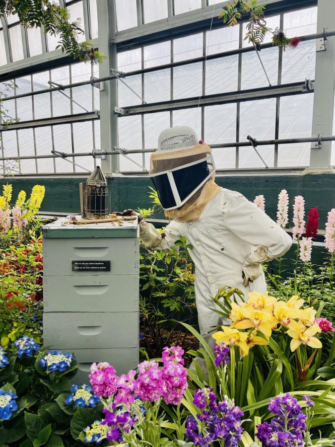 Bee-themed exhibit creates buzz at Garfield Park Conservatory - The ...