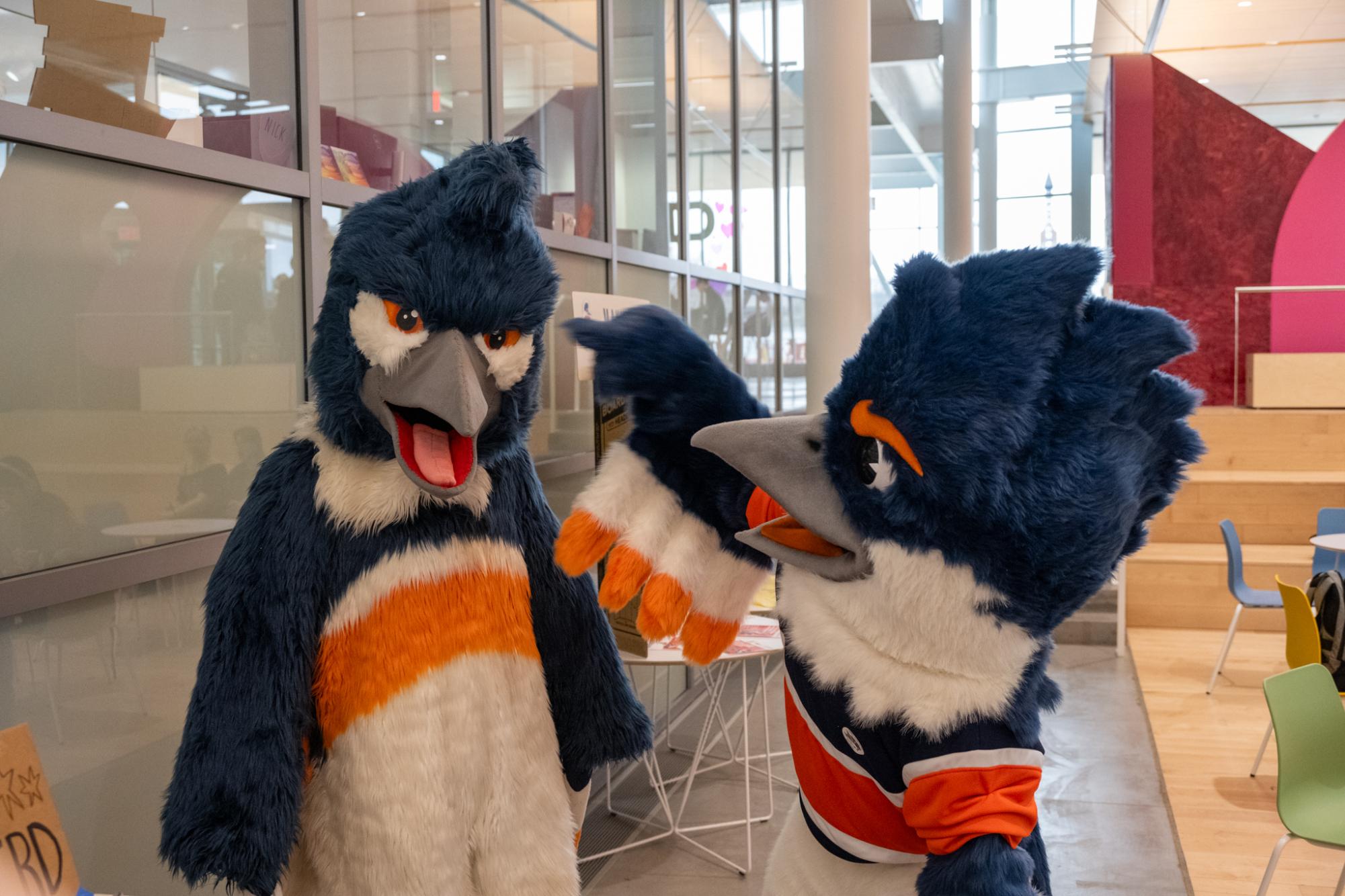 Kingfisher costume unveiled amid growing support for new mascot - The ...