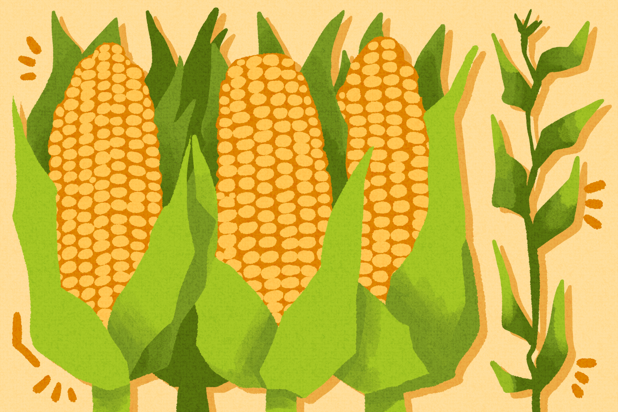 Morrow Plots revitalization strives for visibility - The Daily Illini